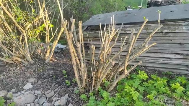 34-02.06.22.Дача.грандиозные планы на лето🤣