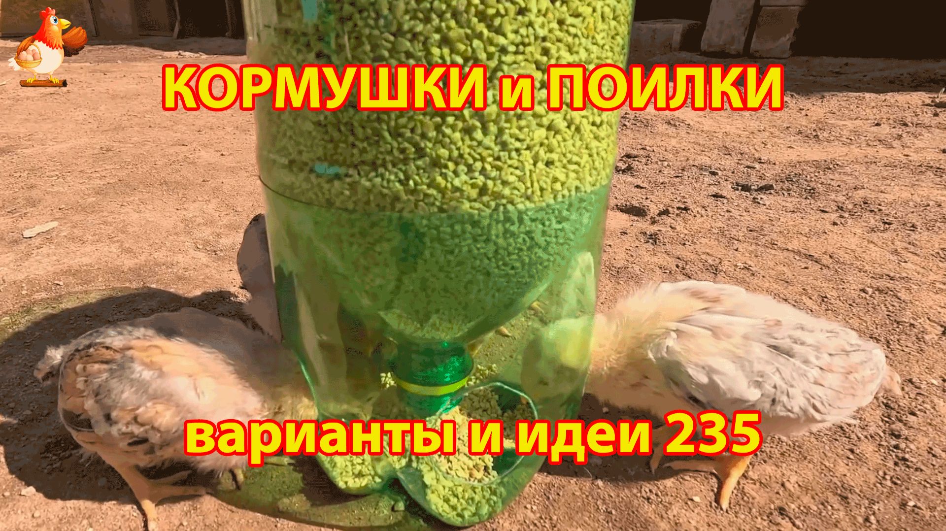 Кормушки и поилки для кур своими руками 235 🪚✂️ Пошаговая инструкция как сделать 🐔 🐓❣️