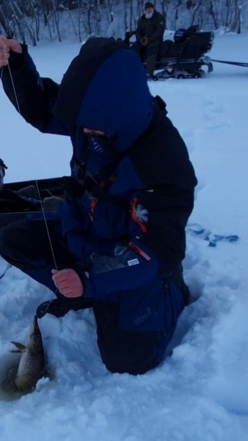 Проверка жерлиц! Первая щука на этой рыбалке! Самоловки рулят! Рыбалка в феврале 2026!