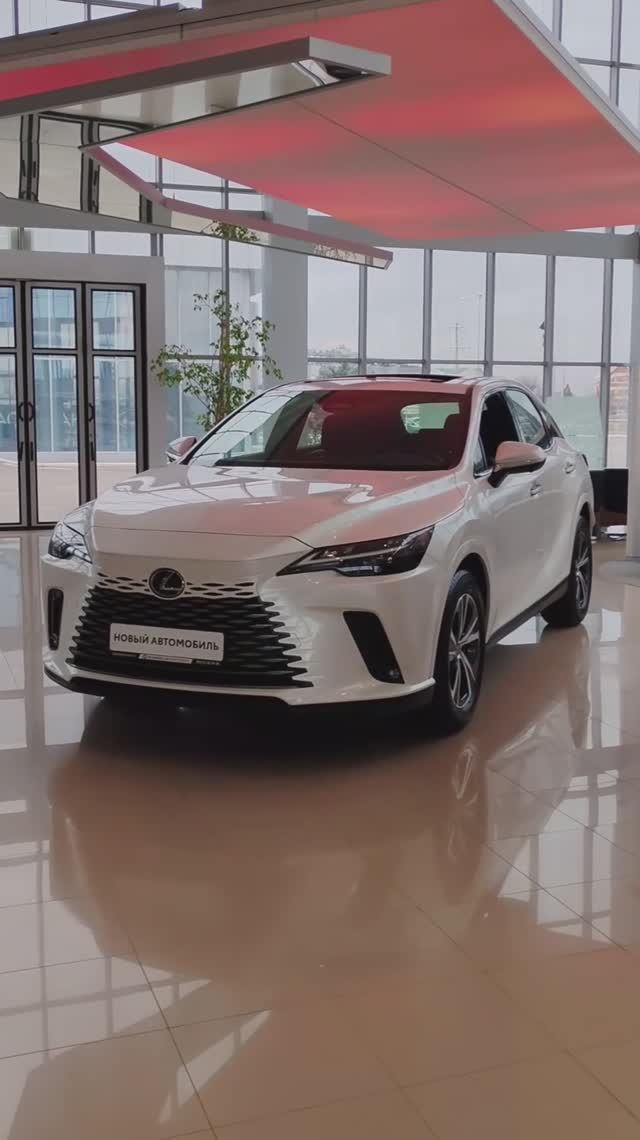 Lexus RX300 +7 (8512) 48-48-48