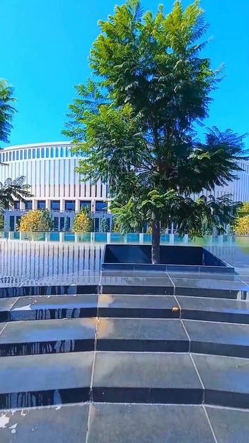 Краснодар Парк Галицкого 2021