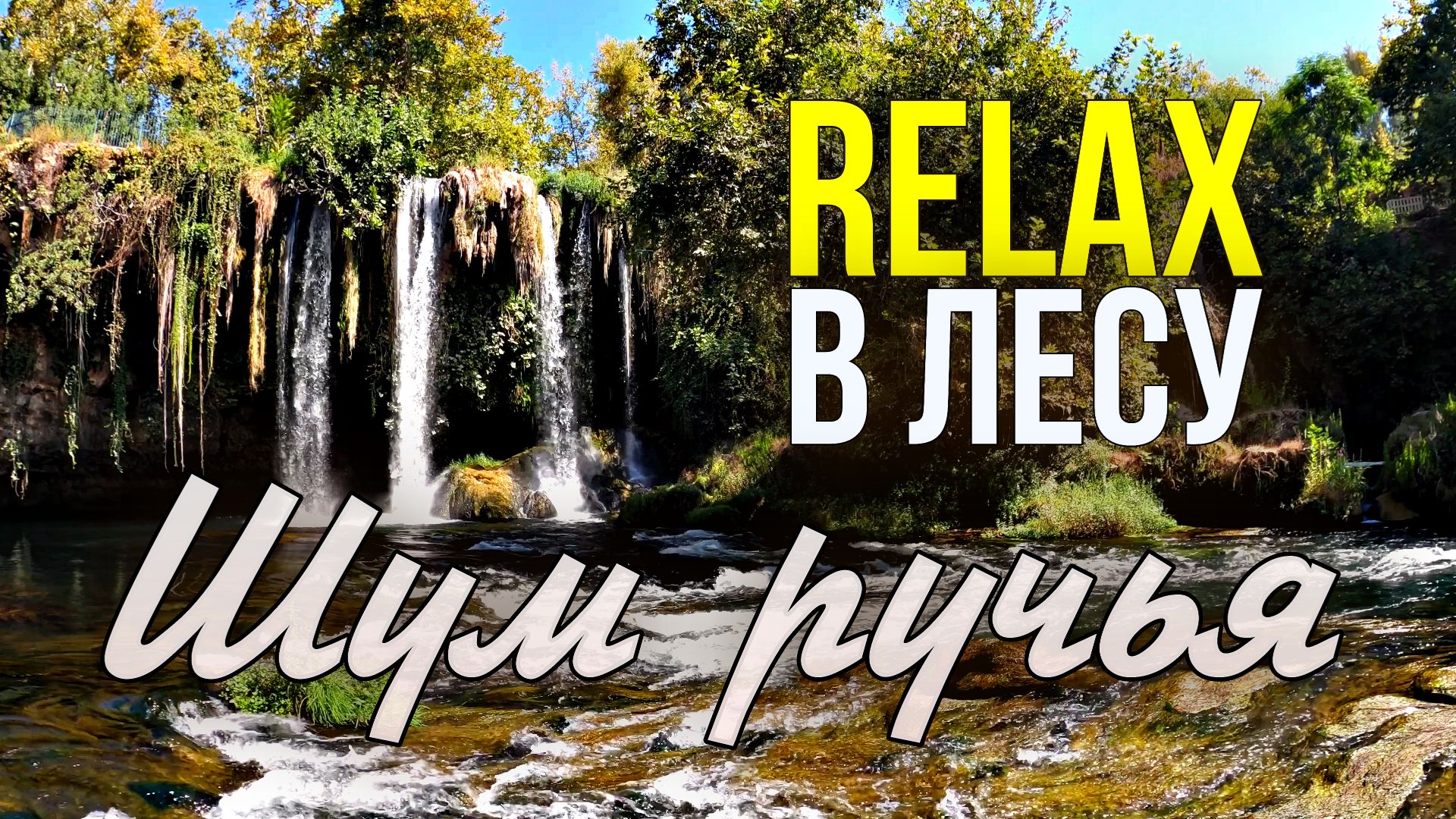 🌿 RELAX — ЛЕСНОЙ РУЧЕЙ И ПЕНИЕ ПТИЦ | ЗВУКИ ЛЕСА И ВОДЫ ДЛЯ СНА, МЕДИТАЦИИ И ГЛУБОКОГО РАССЛАБЛЕНИЯ