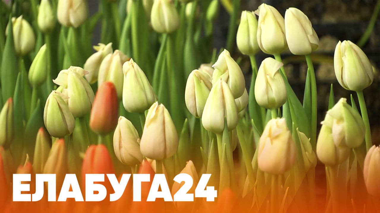 Новости Елабуги от 6 марта 2026