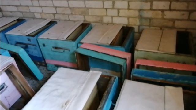 Мартовские работы на пасеке и результаты зимовки пчёл