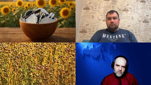 1696. Брошко Д.В.: Получение питательного белка из отходов производства растительного масла