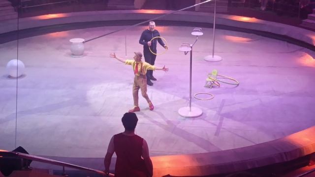 Ивановский цирк 6