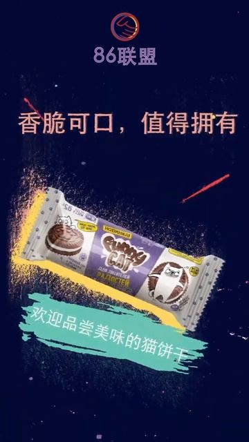 Сторис в инстаграм _2154_Funny Cat