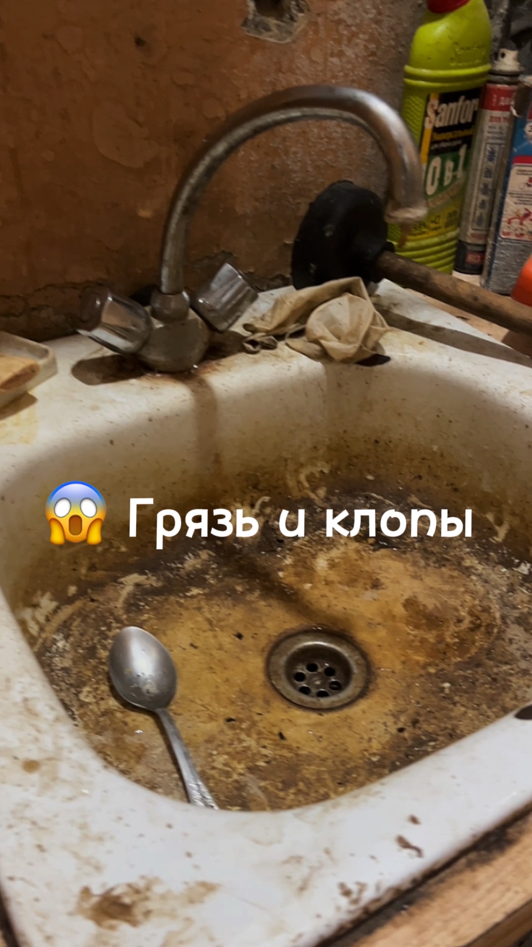 Грязь и клопы😱 |Подпишись 👍|  #shorts #грязь #антисанитария # клопы