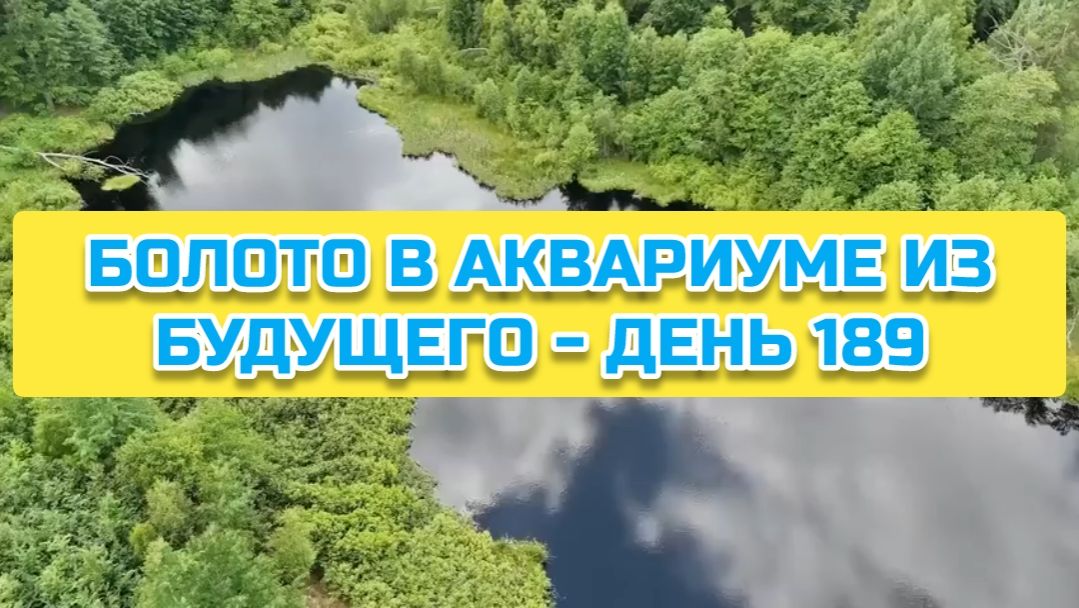 БОЛОТО В АКВАРИУМЕ ИЗ БУДУЩЕГО - ДЕНЬ 189