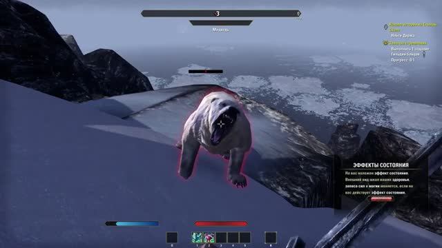 Белый мишка в The Elder Scrolls Online :)