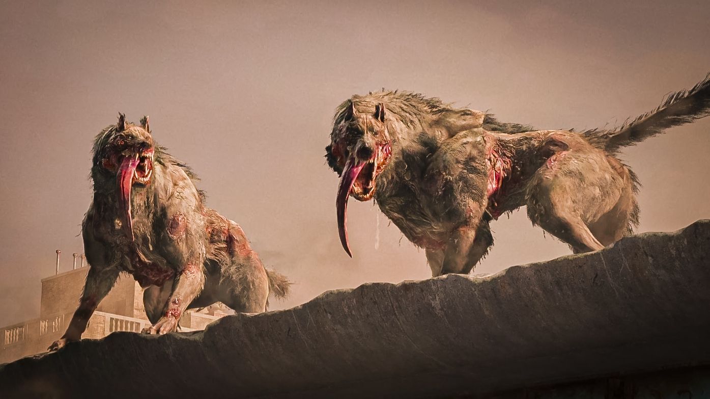 Центр города енотов ▷ Resident Evil Requiem #7