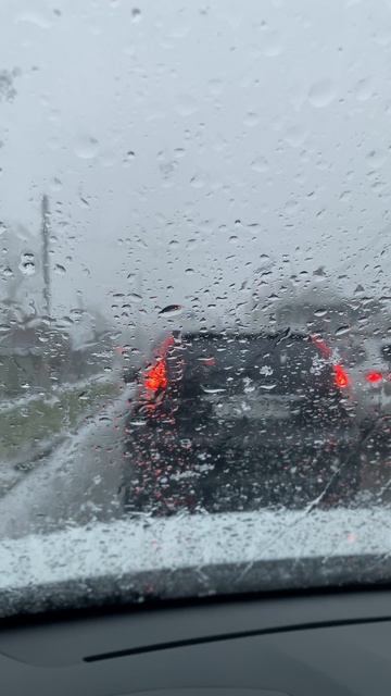 До свидания, снег)