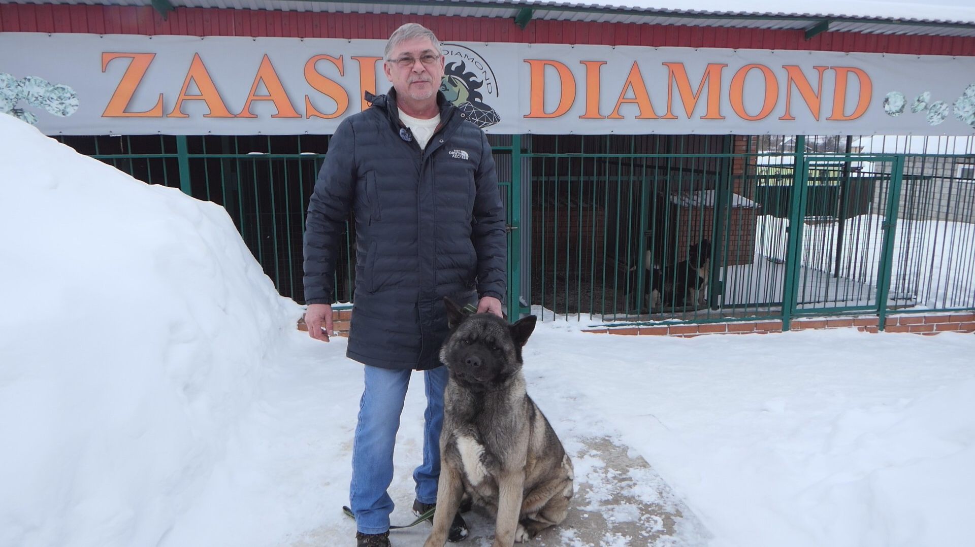 Питомник по разведению американских акит в с. Алакаевка