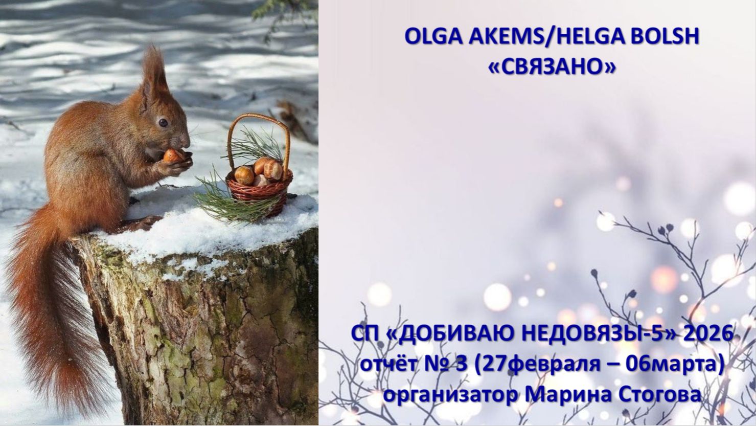 СП "Добиваю недовязы" отчёт № 3 (27 февраля-06марта)