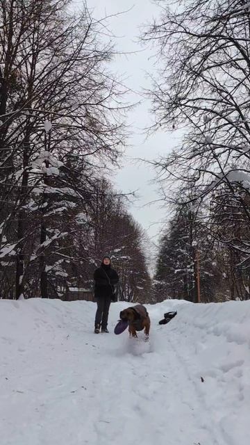 Риджбек Айна - тренируем флипы и броски