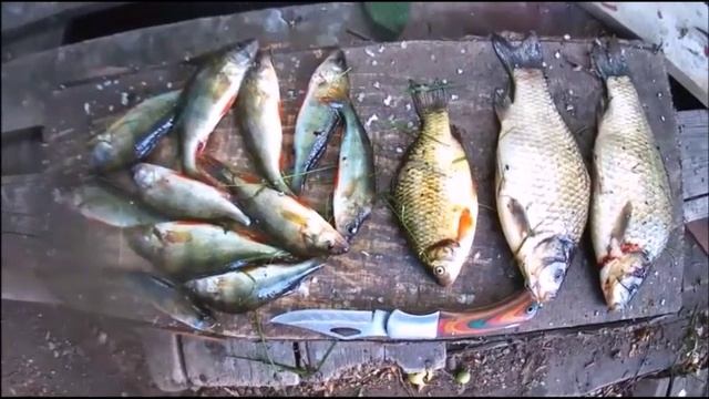 ✔Вторая летняя рыбалка🎣✔