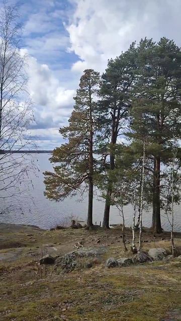 Приозерск, остров Каменистый