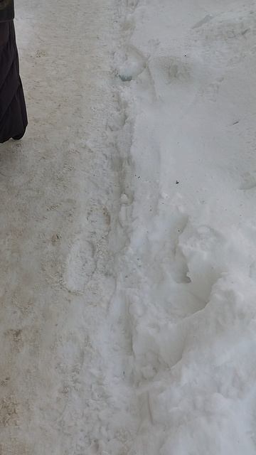 №1627 ул. Газеты Звезда. 6 марта 2026 г., 14:18:55 VID_20260306_141757346