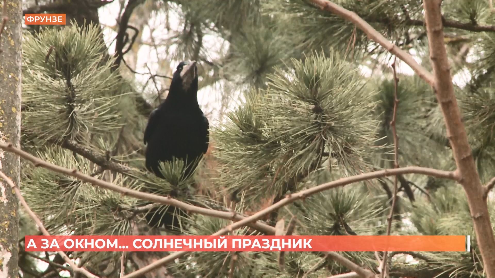 А за окном. 6 марта 2026