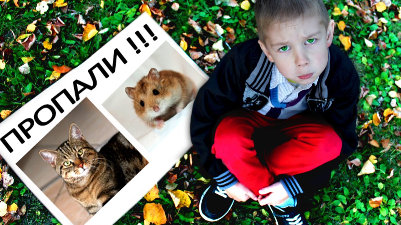 КУДА ПРОПАЛ КОТЕНОК И ХОМЯК? МУЛЬТИК ПРО ХЕЛПИКА! РОМА И ХЕЛПИК 41 СЕРИЯ