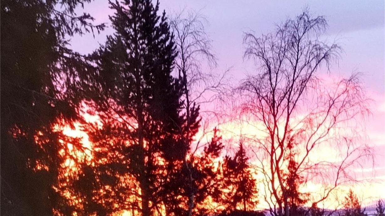 Прощальный вальс