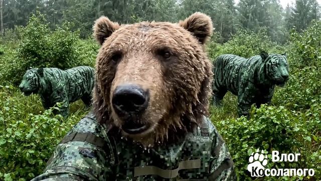 Михалыч - «Работает с полосатыми, пожелаем удачи нашим пушистым воинам» № 8