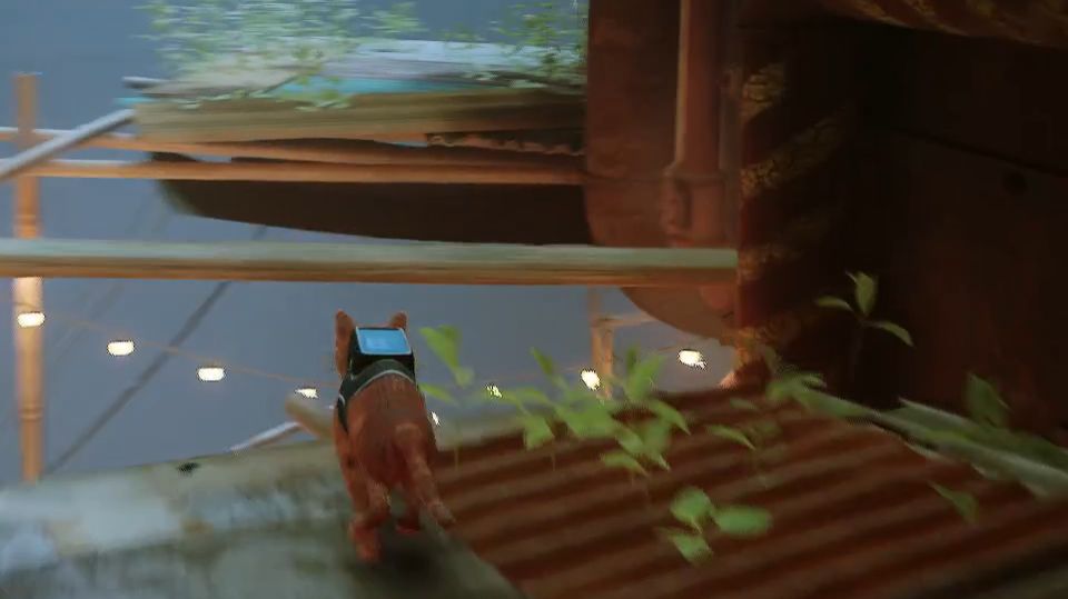 7. Гуляем по робовейнику ( Stray)