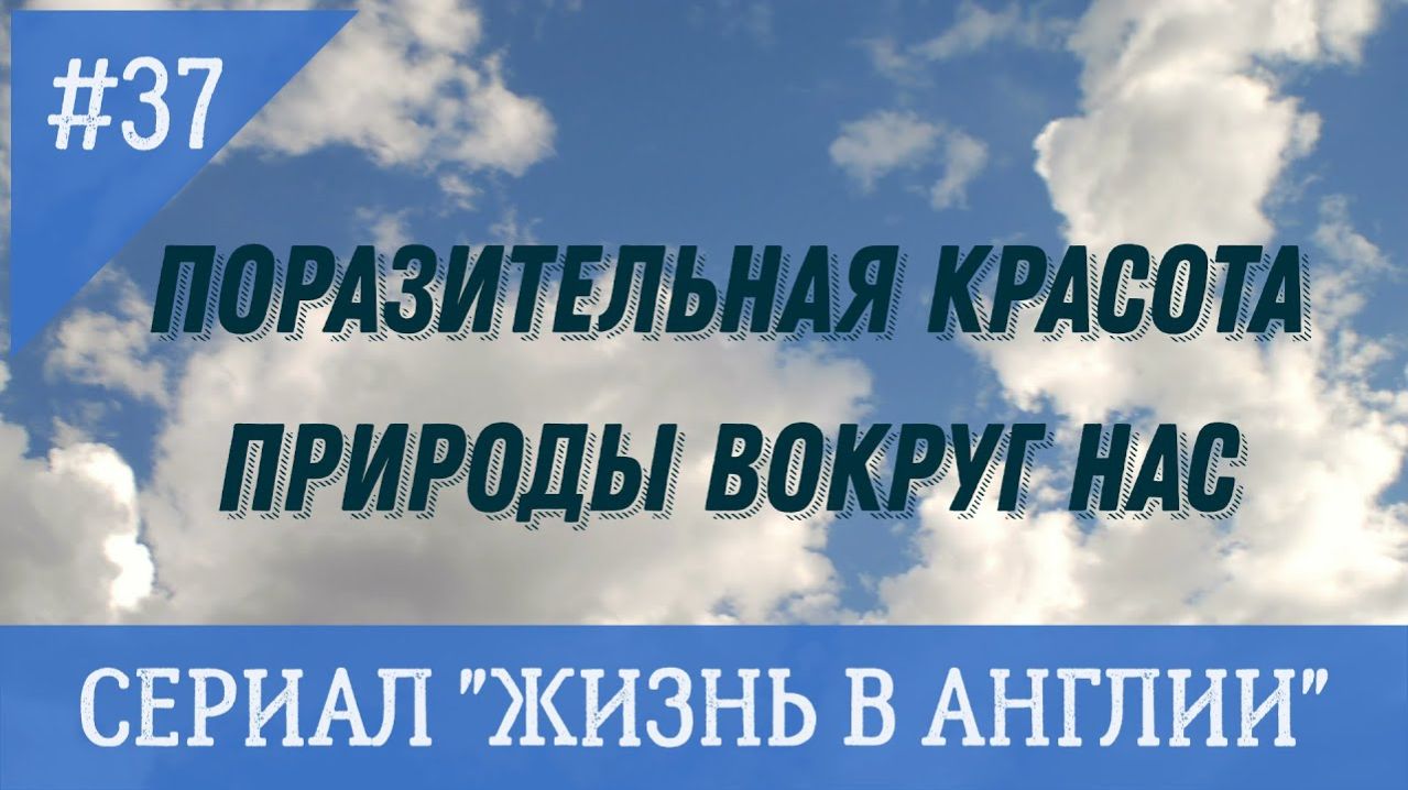 Озеро. Поразительная красота природы вокруг нас. № 37 Жизнь в Англии