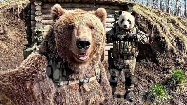 Михалыч и Потапыч - «Новый Компаньон».№ 12