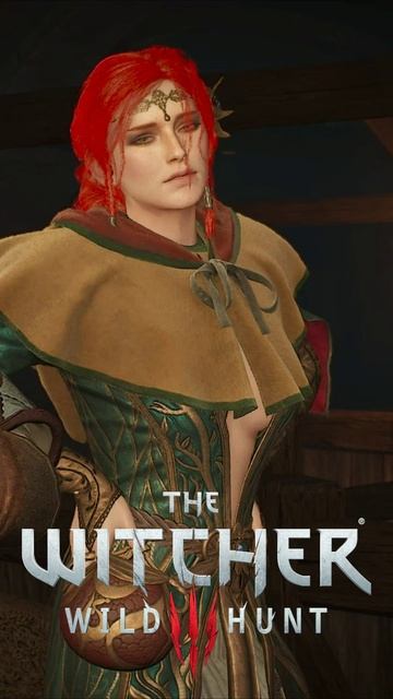 Бизнес по-новиградски или почему ведьмаков не обманывают 2  The Witcher 3 - Wild Hunt