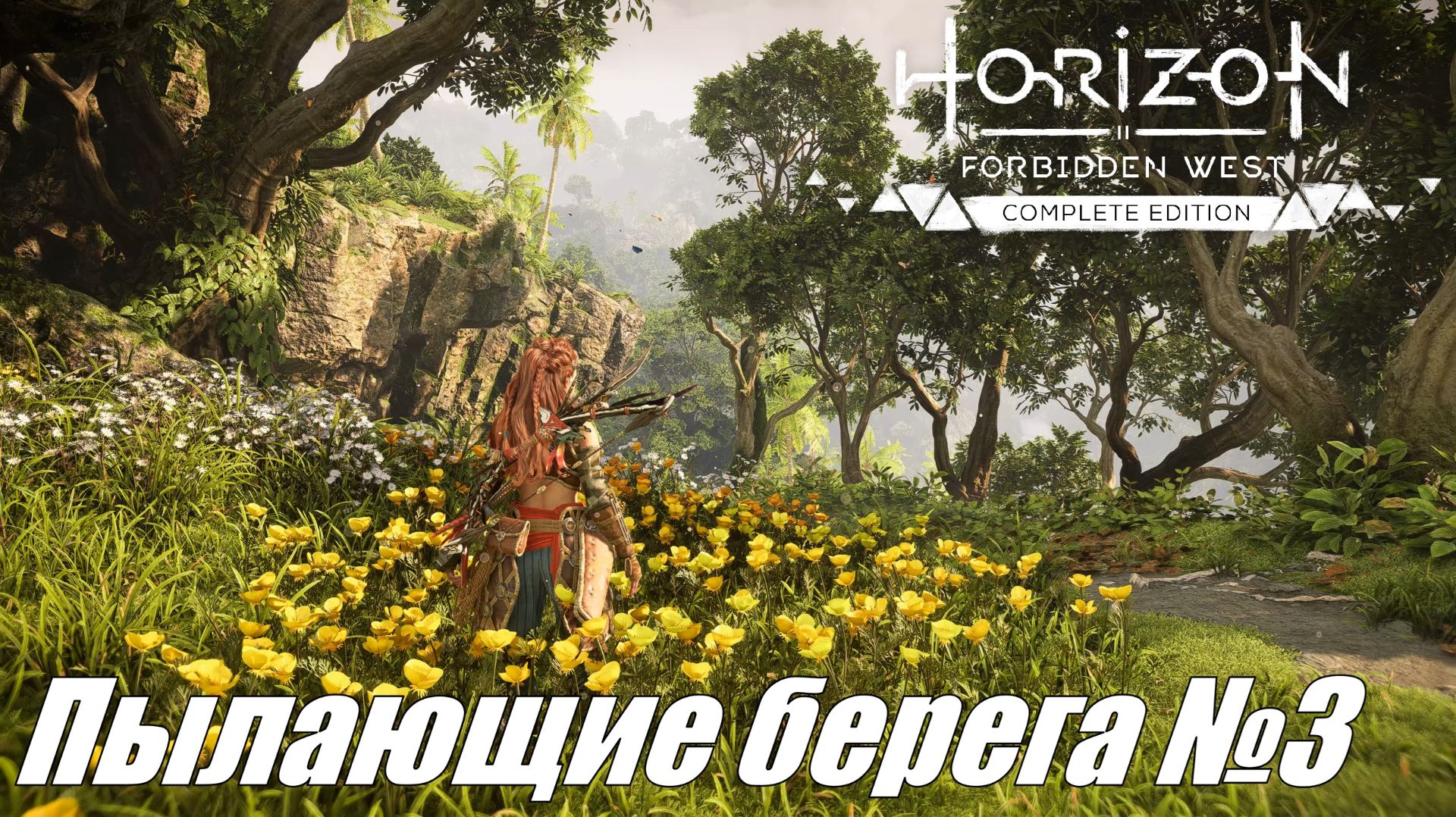 Полет по треку с буревестником ► Horizon Forbidden West DLC Пылающие берега №3 #horizonforbiddenwest
