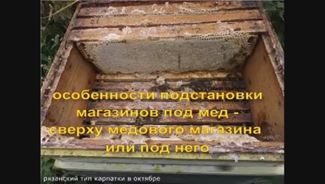 особенности подстановки магазинов под мед - сверху медового магазина или под него (  архив )