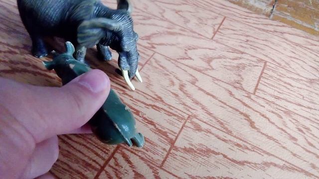 Слон сражается с носорогом за свою территорию. Очень интересный видос.