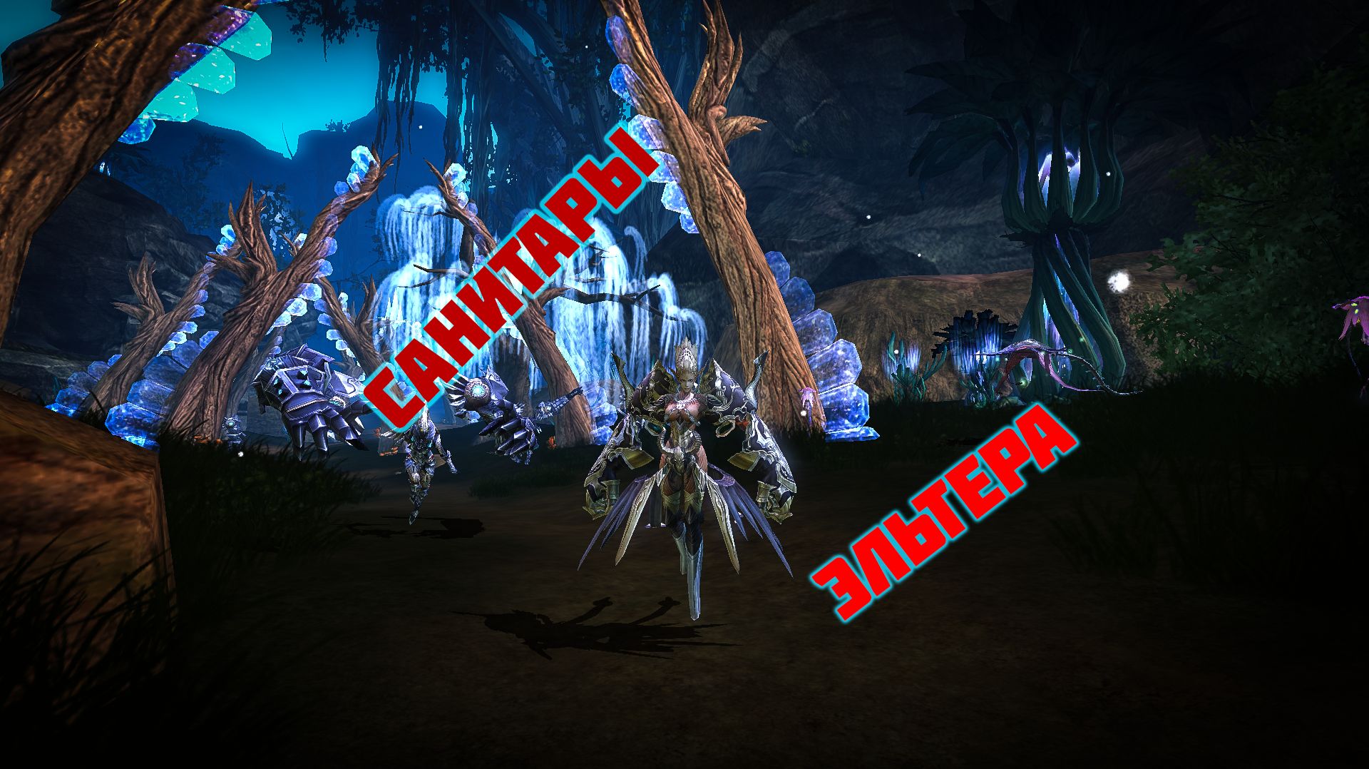 Санитары Эльтера