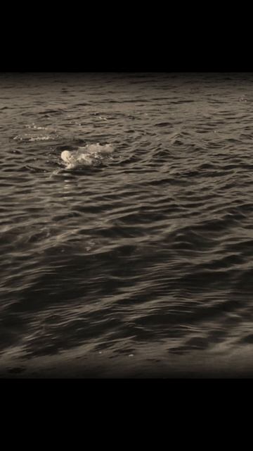 «Приключение» Микеланджело Антониони. Анонс показа в Киноклубе "Победы"