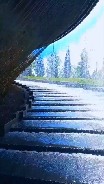 Краснодар Парк Галицкого 2021