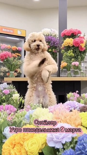 А я хочу сказать. 8 марта. Тренды, мемы