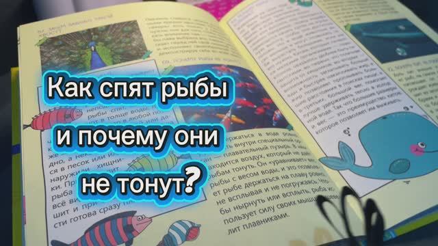 Как спят рыбы? Ворона Ася расскажет