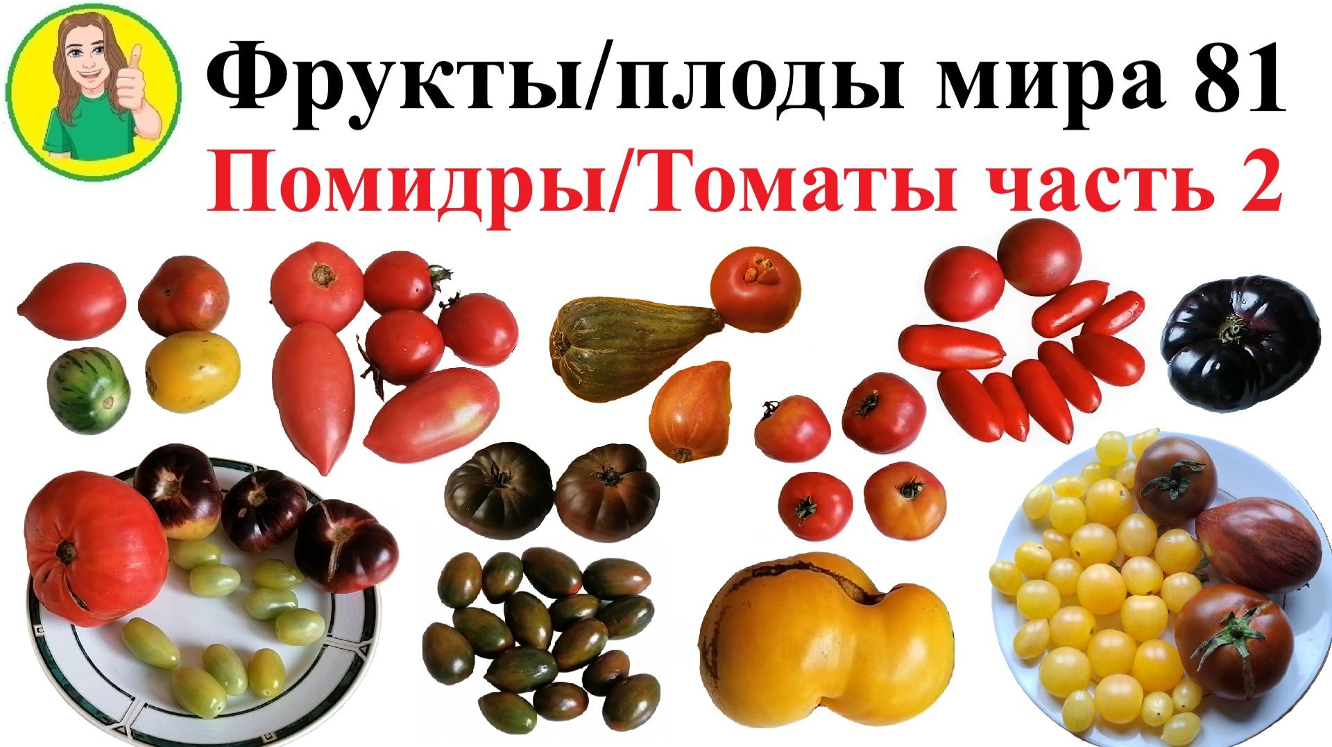 Фрукты - плоды мира 81 – Помидоры или Томаты Часть 2 Сыроедение Фрукторианство