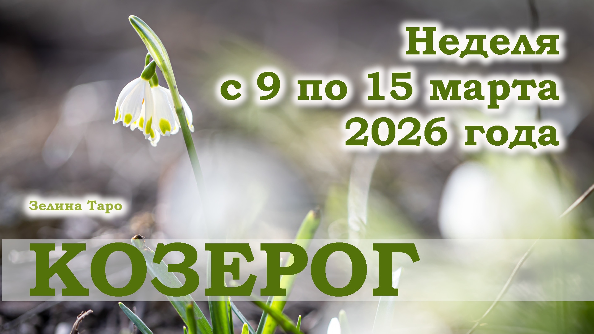 КОЗЕРОГ | ТАРО прогноз на неделю с 9 по 15 марта 2026 года
