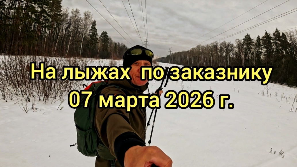 На лыжах по заказнику 07 марта 2026г
