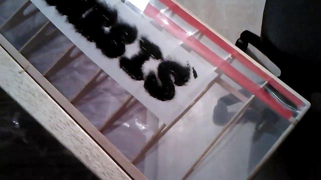 Покрасил фонарь и имя Genesis 1000.