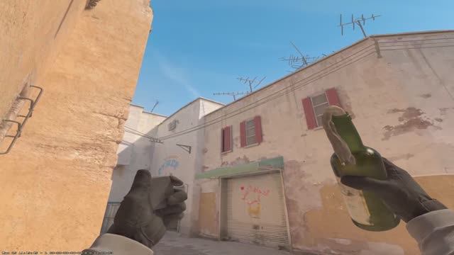 Dust 2 - молик шорт + флешка в шорт
