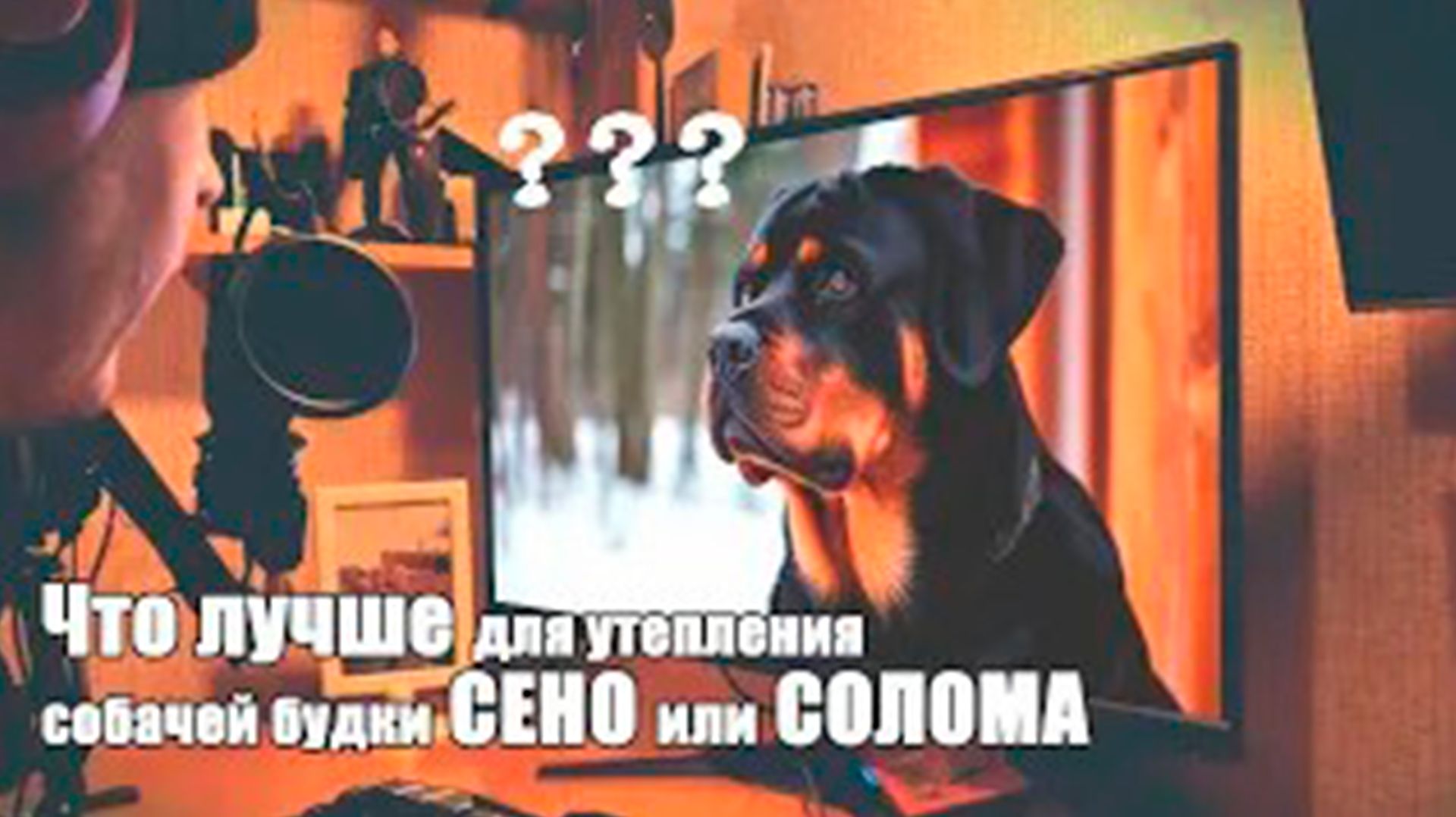 Что лучше для утепления собачей будки СЕНО или СОЛОМА