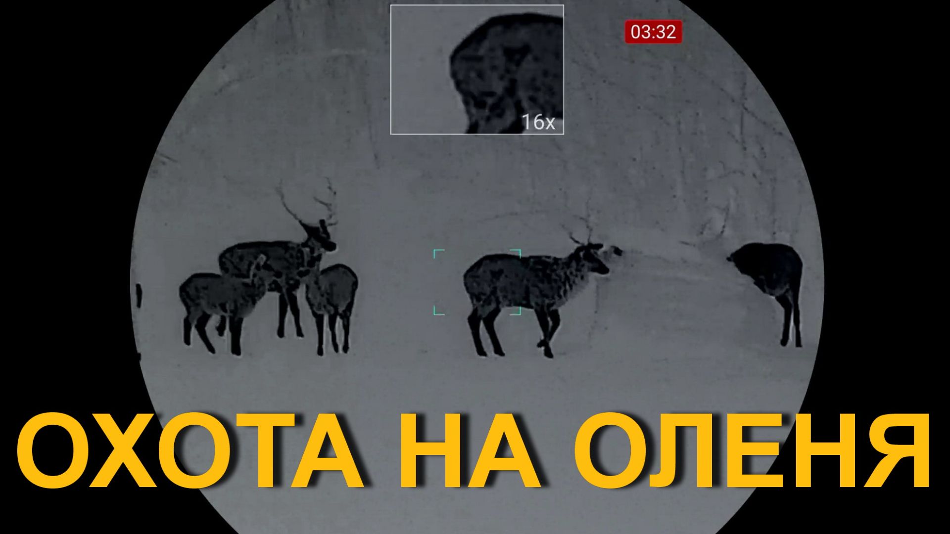 Охота на ОЛЕНЯ 💥 закрытие февраля