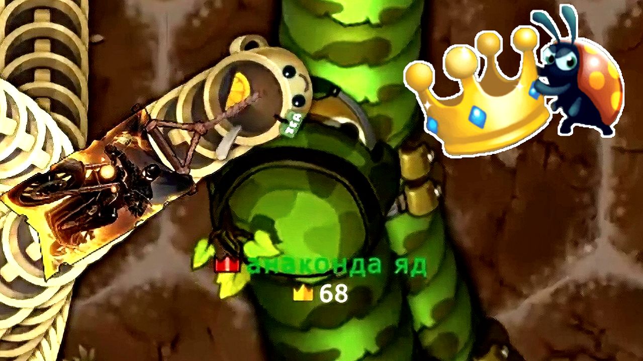 🐍Little Big Snake🐞Крутые убийства мятежных змей & набираю массу 2 000 000.😎👍