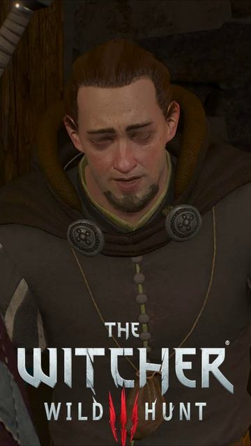 «Не поверишь, но мне поверили». История про вспотевший зад и мешок  The Witcher 3 - Wild Hunt