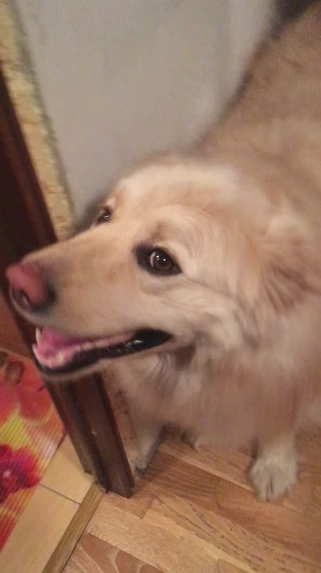 Что делает Ричик, когда приходит дед❓