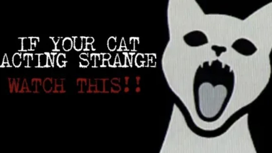 Просто страшный кот ( ANALOG HORROR )