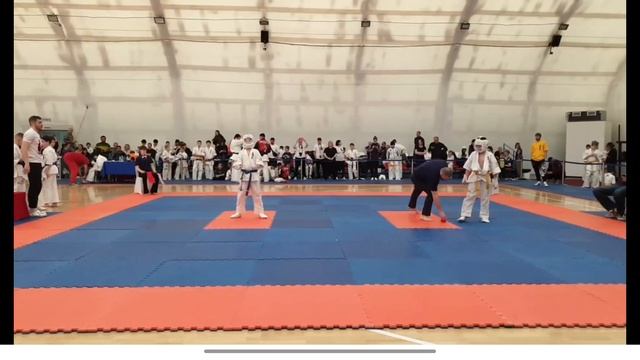 Бой за 3-е место. Никуличев Бронислав - Милинкович Владимир